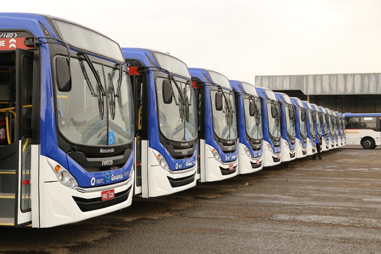 Notícias | Grifon Brasil