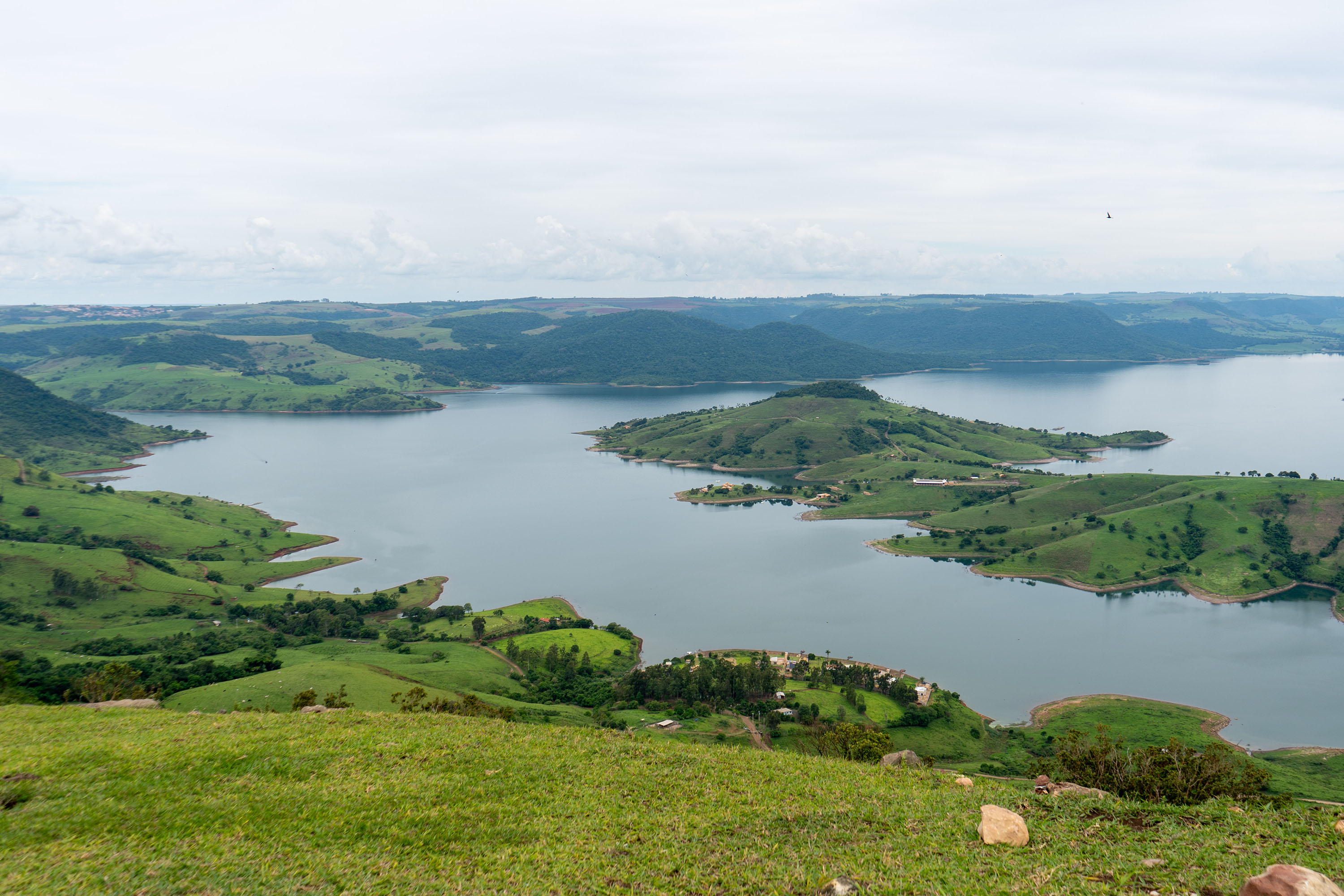 Notícias | Grifon Brasil
