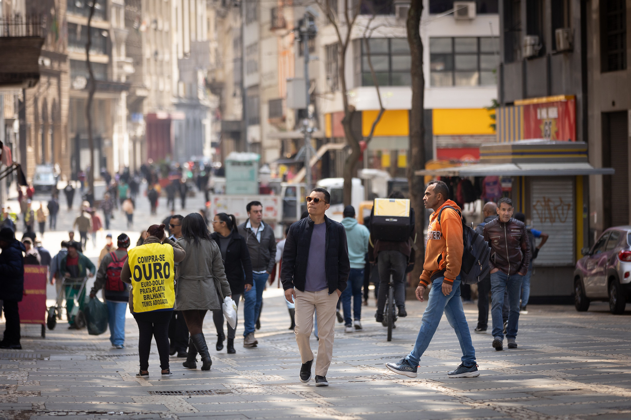 Notícias | Grifon Brasil