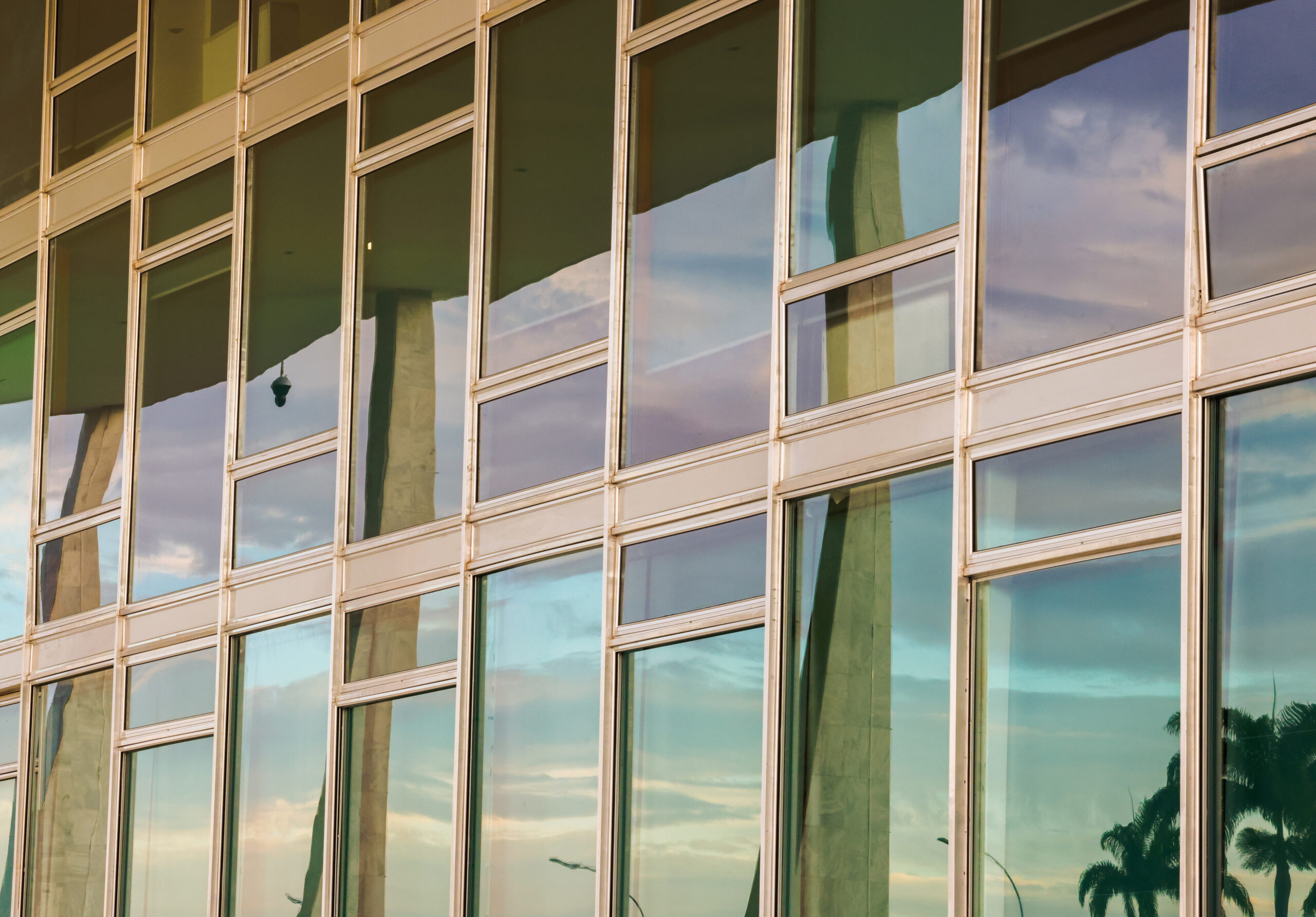 Notícias | Grifon Brasil